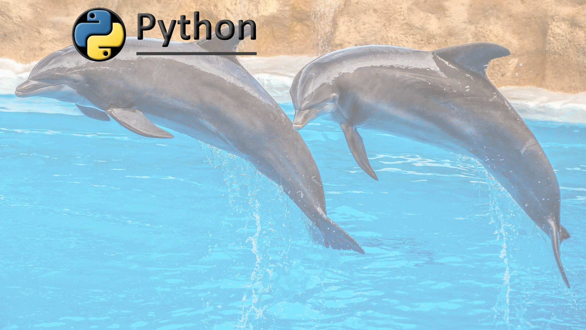 Jump Tables In Python Prospero Coder