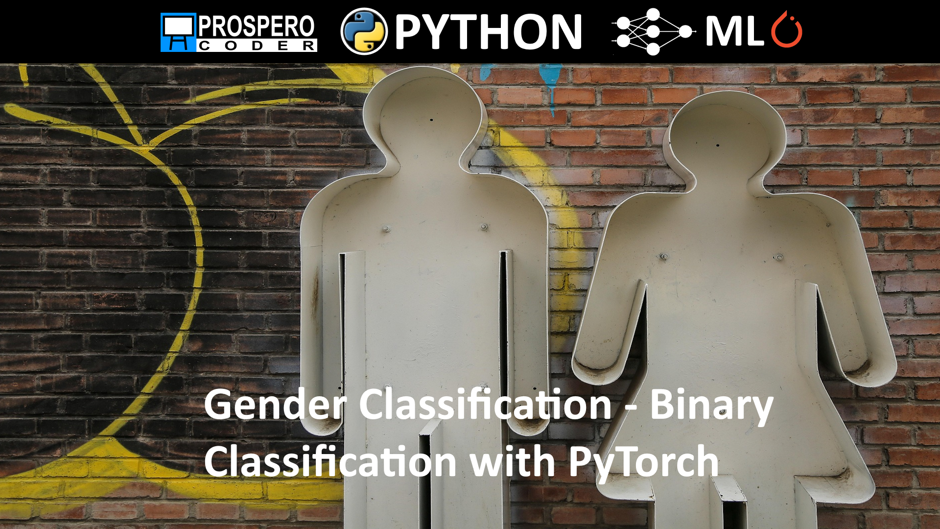 Gender Classification - Binary Classification with PyTorch - Prospero Coder