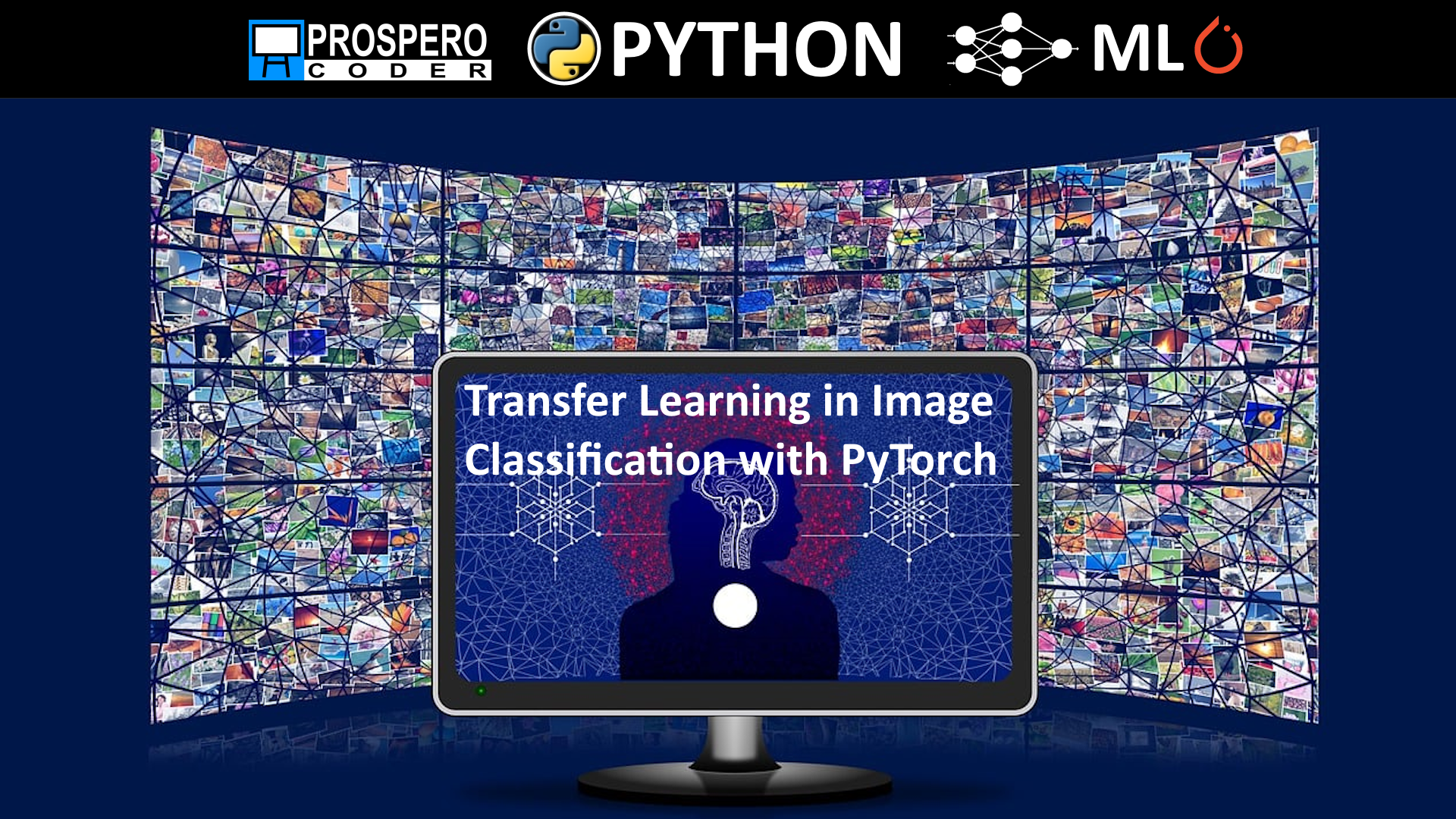 Transfer Learning in Image Classification with PyTorch - Prospero Coder